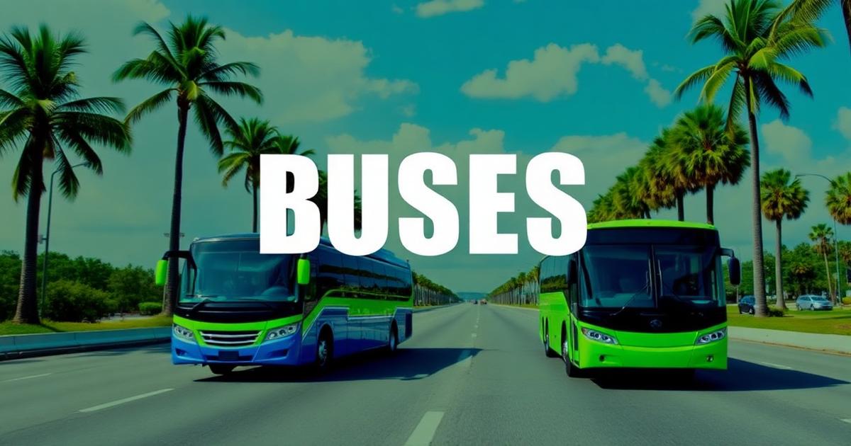 Wheelchair Bus Insurance FL | Paratransit & ADA